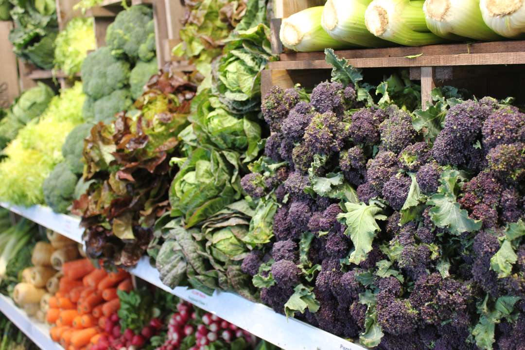 Garsons Farm Shop Esher