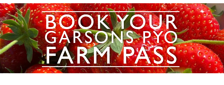 PYO Farm | Garsons