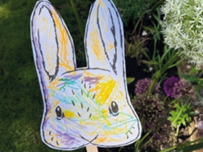 Peter Rabbit Mask Colouring Competition Winners - Garsons