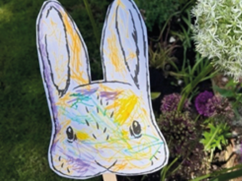 Peter Rabbit Mask Colouring Competition Winners - Garsons
